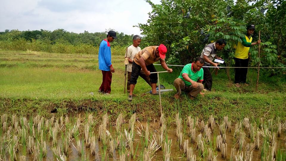 Pengukuran dan Pemasangan Patok Batas Tanah Bengkok - Watuagung.ID